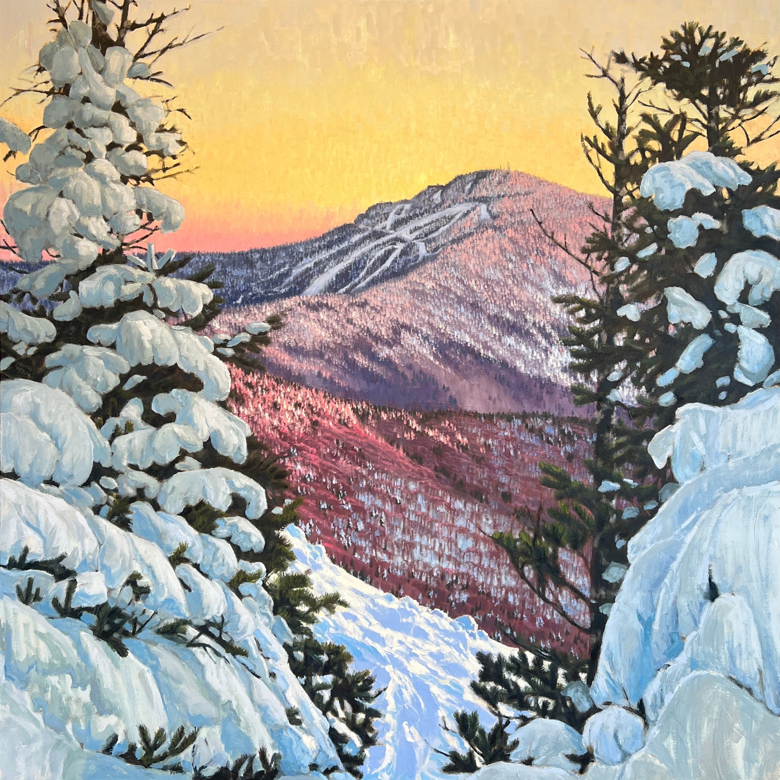 Limited Edition Prints - Carrie Pill