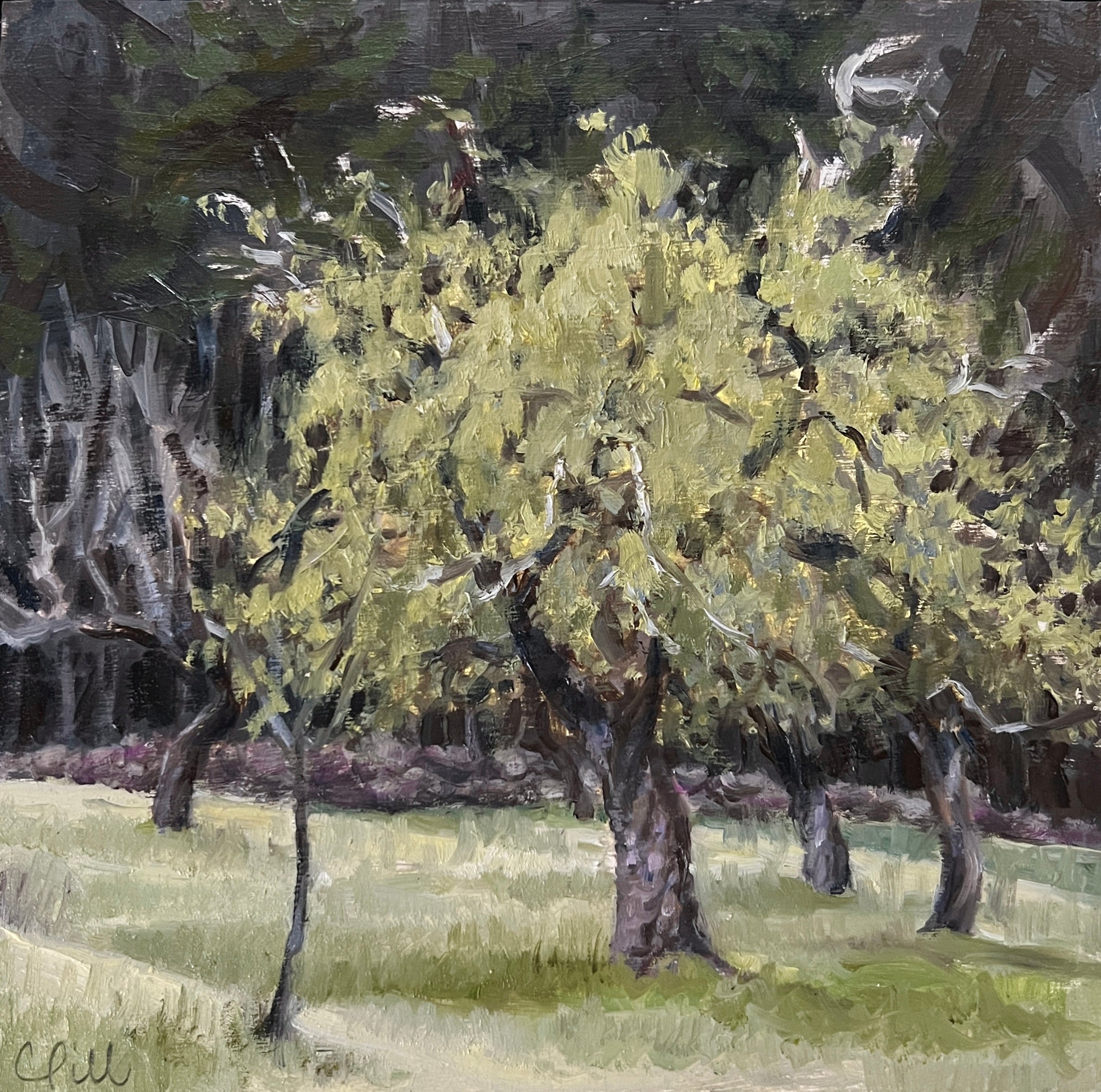 “The Leader” Original Oil Painting - Carrie Pill