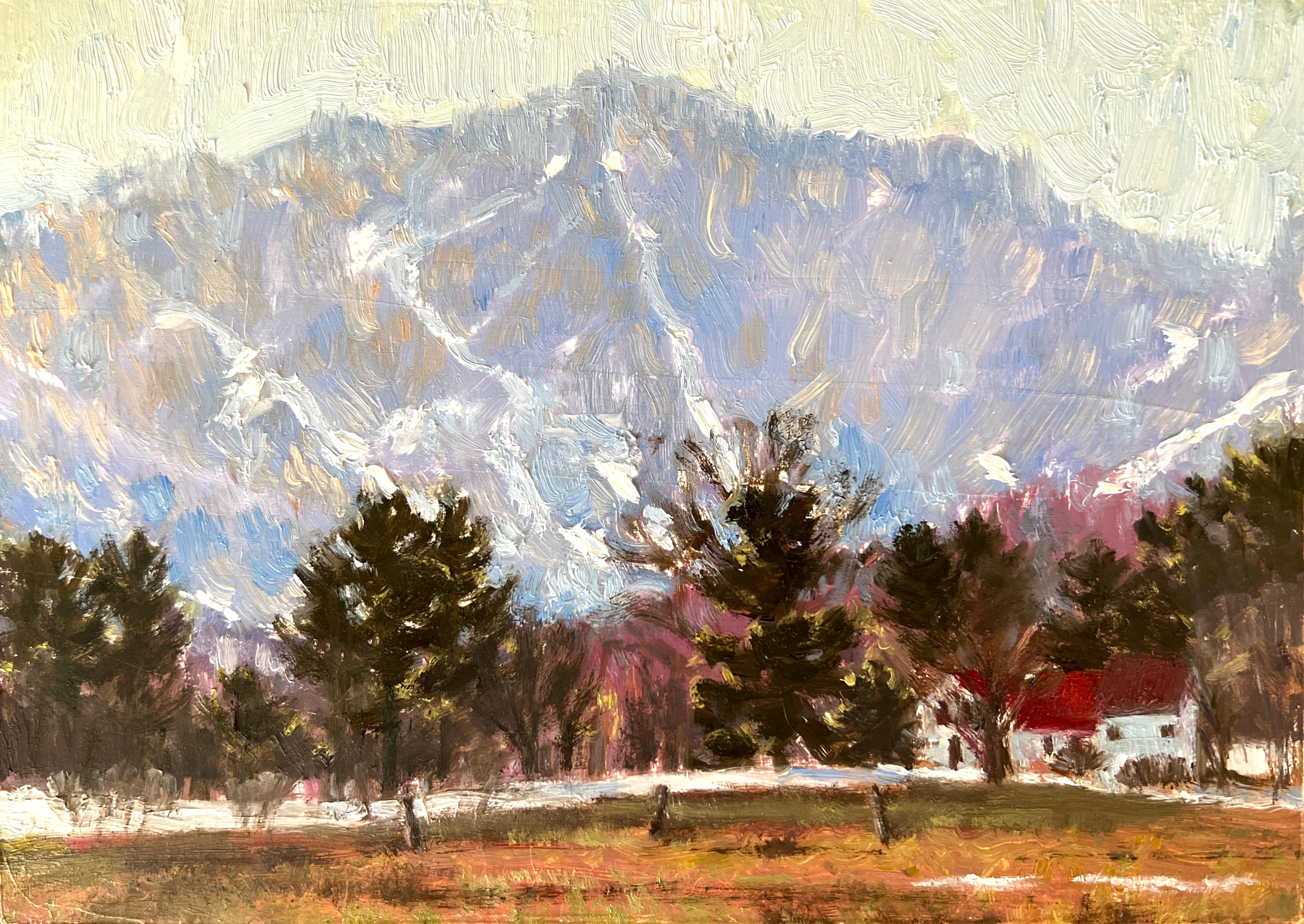 “Morning Smuggs” Original Oil Painting - Carrie Pill